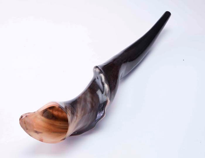 Eland Shofar – El Shaddai Supplies